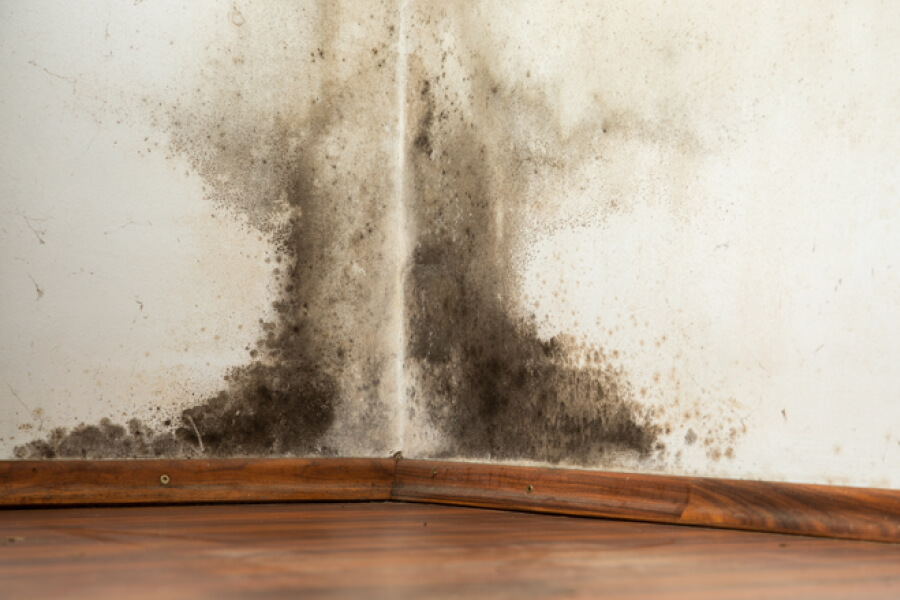 Selling your House with Damp Problems | LDN Properties